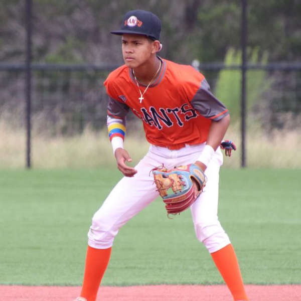Cesar Ibarra Ibarra's Baseball Recruiting Profile