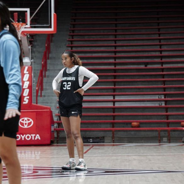 Aniya Johnson's Basketball Recruiting Profile