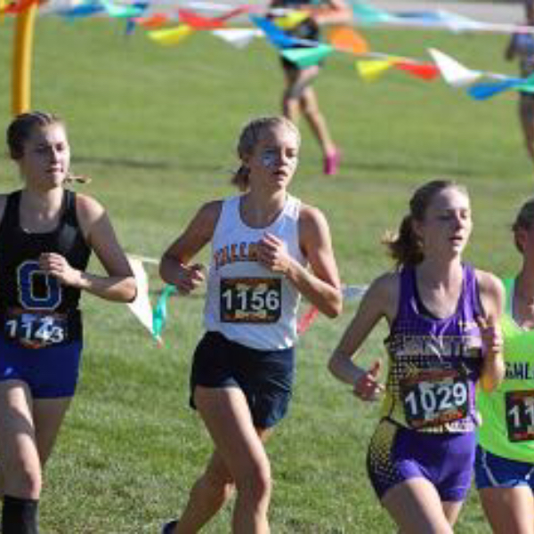 Ana Crangle's Cross Country Recruiting Profile