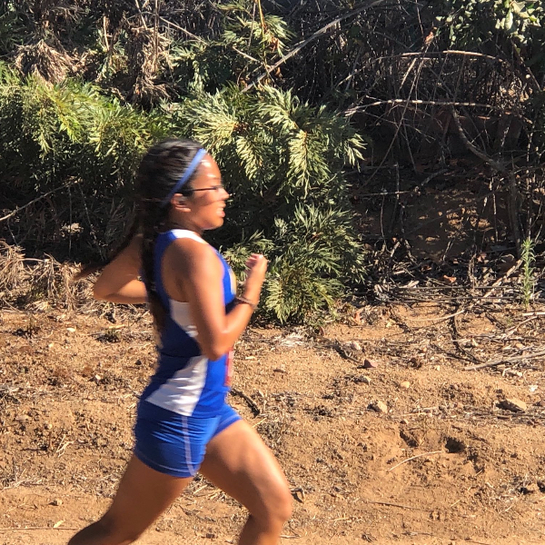 Emily Rivas' Cross Country Recruiting Profile