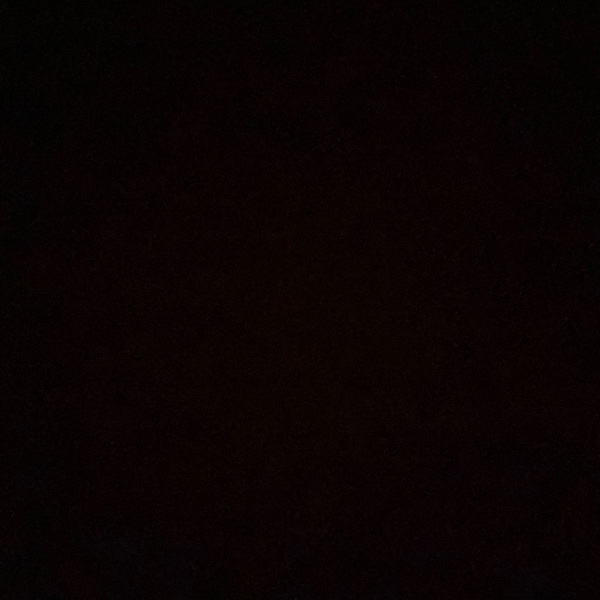 Ava Rupp's Rowing Recruiting Profile