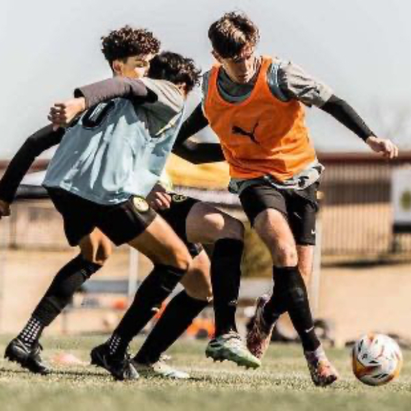 BVB International Academy America (Boys) | SportsRecruits