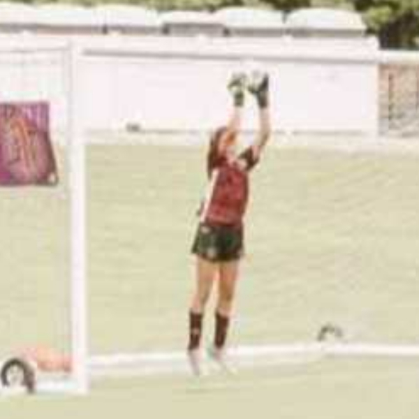 Peyton Trayer | SportsRecruits