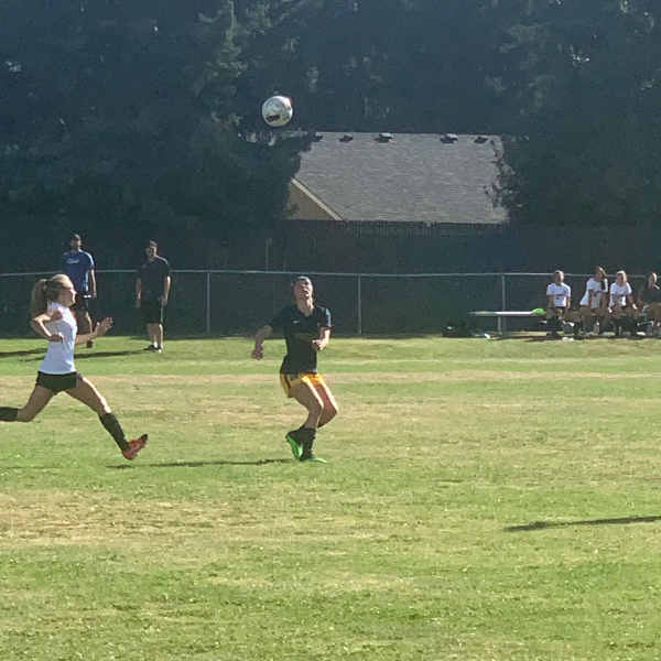 Ava Meek's Soccer Recruiting Profile