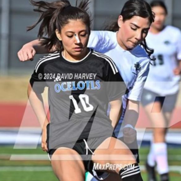 Vianey Gonzalez's Soccer Recruiting Profile