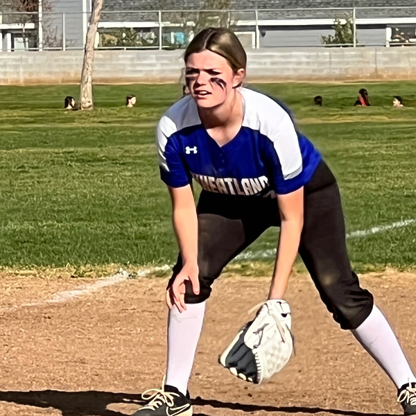 CA YardSharks | SportsRecruits