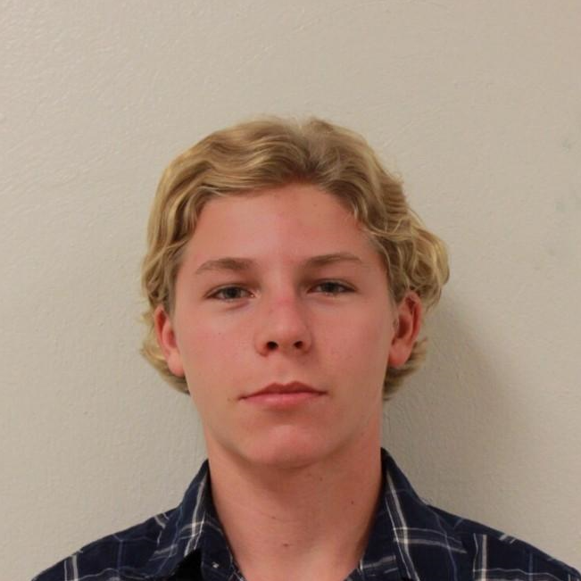 Harrison Wayner's Swimming And Diving Recruiting Profile