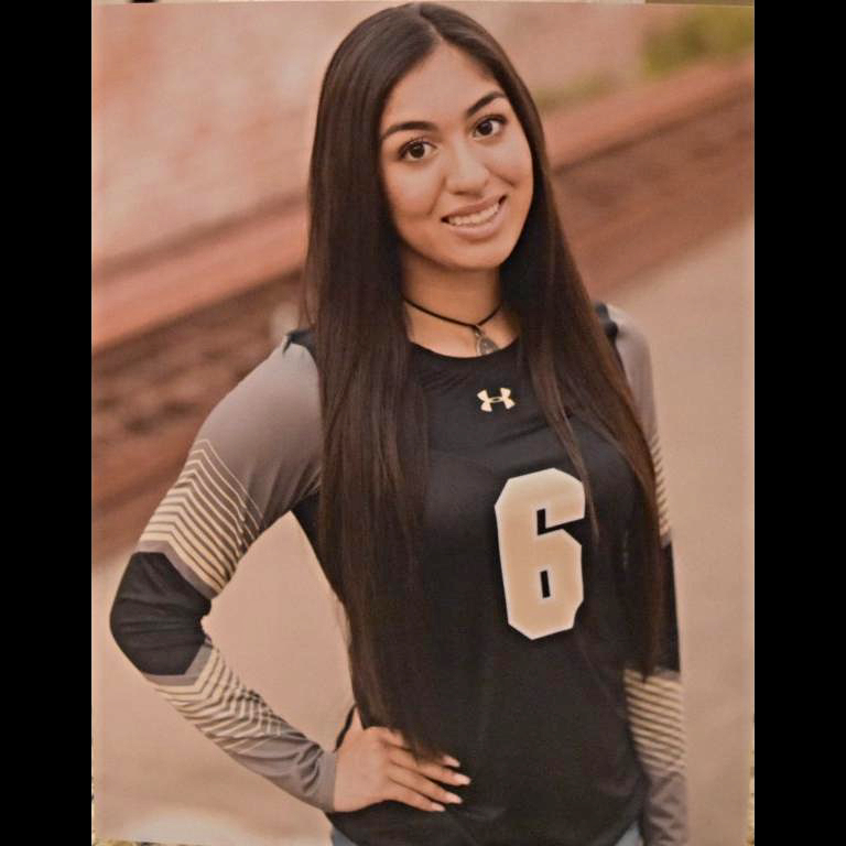 EMILY REYES' Volleyball Recruiting Profile