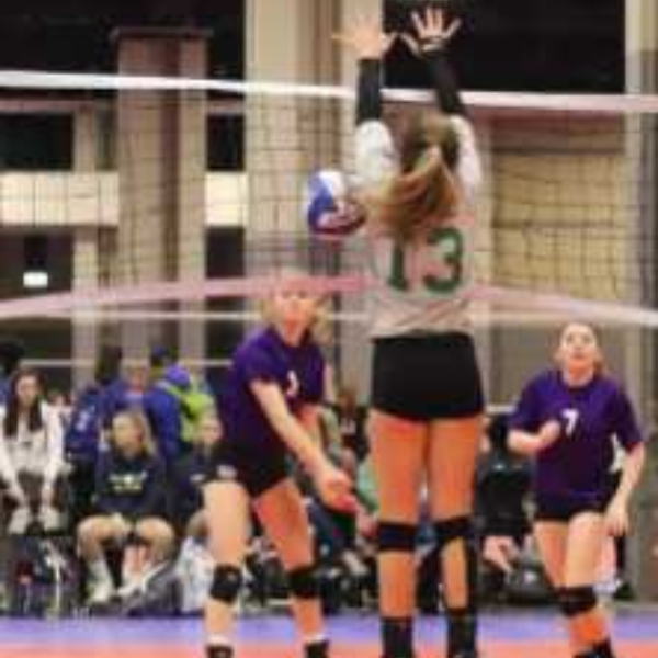 Baylee Williams' Volleyball Recruiting Profile