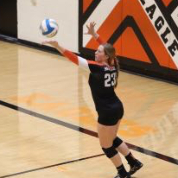 Alayna Johnson's Volleyball Recruiting Profile
