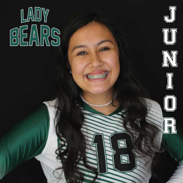 Ava Alvarado's Volleyball Recruiting Profile