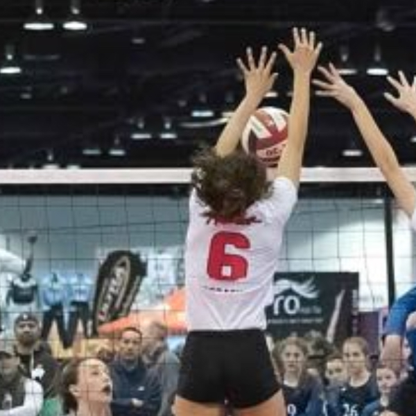 Premier Volleyball | SportsRecruits