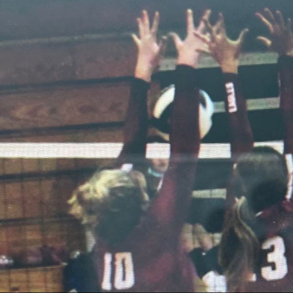 Bella Cook's Volleyball Recruiting Profile