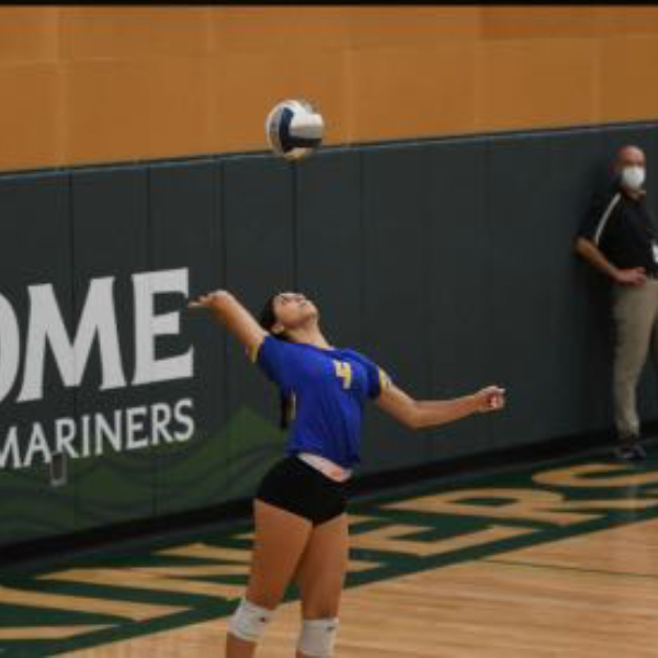 Morgan Hayes' Volleyball Recruiting Profile