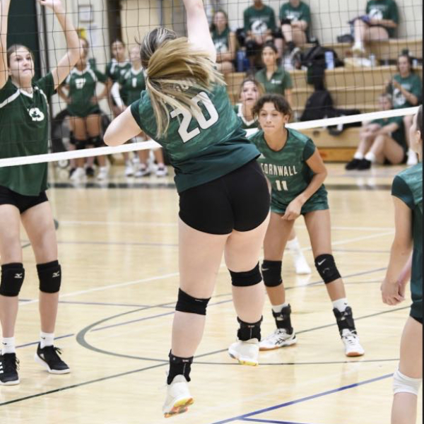 Audrey Hunter's Volleyball Recruiting Profile