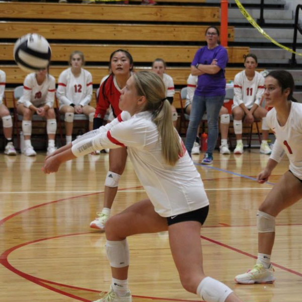 Demi Freeman's Volleyball Recruiting Profile