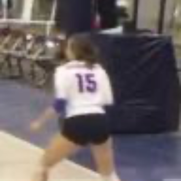 Gainesville Juniors Volleyball Club | SportsRecruits