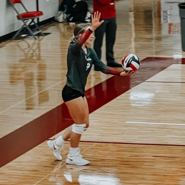 MAVS Volleyball | SportsRecruits
