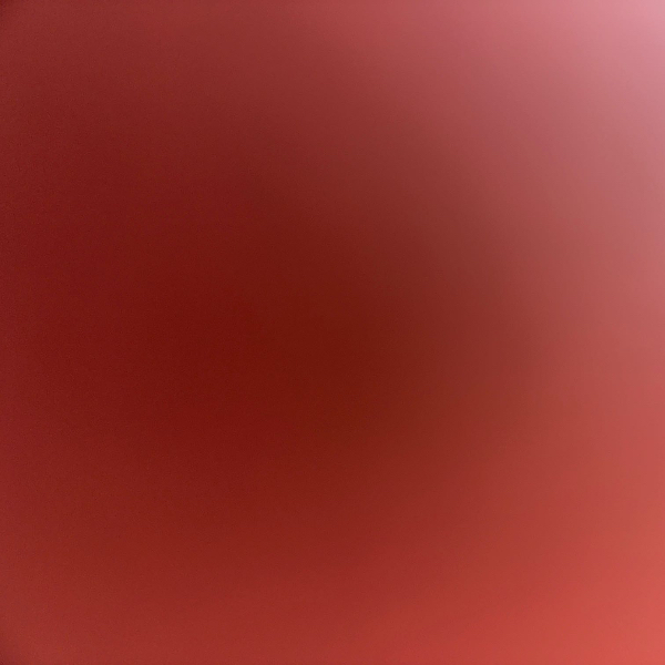 Nya Foster's Volleyball Recruiting Profile