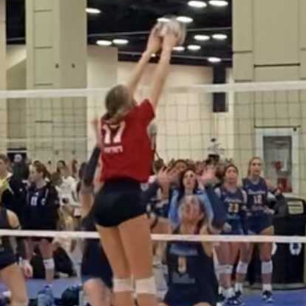 Alamo Volleyball Association | SportsRecruits