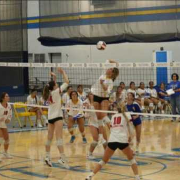Chicago Elite Volleyball (Girls) | SportsRecruits