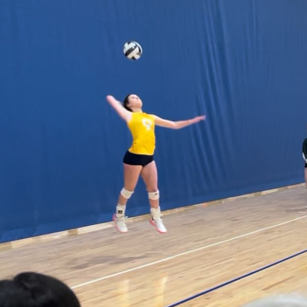 Alexa Wilkie's Volleyball Recruiting Profile