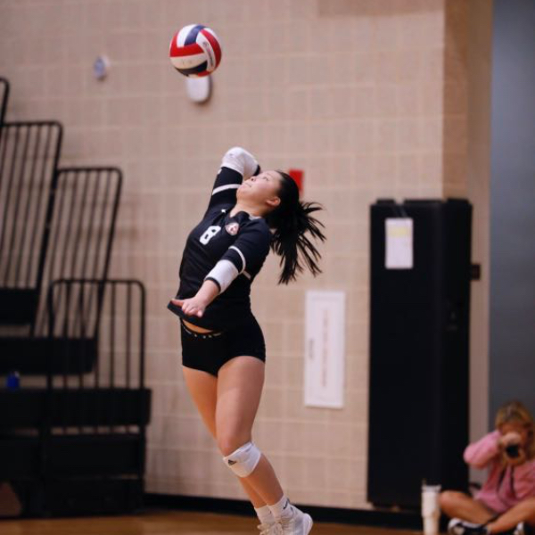 Mary Henley Sims' Volleyball Recruiting Profile
