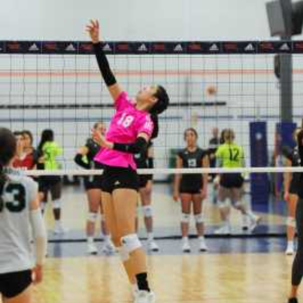 Hailey Coleman | SportsRecruits