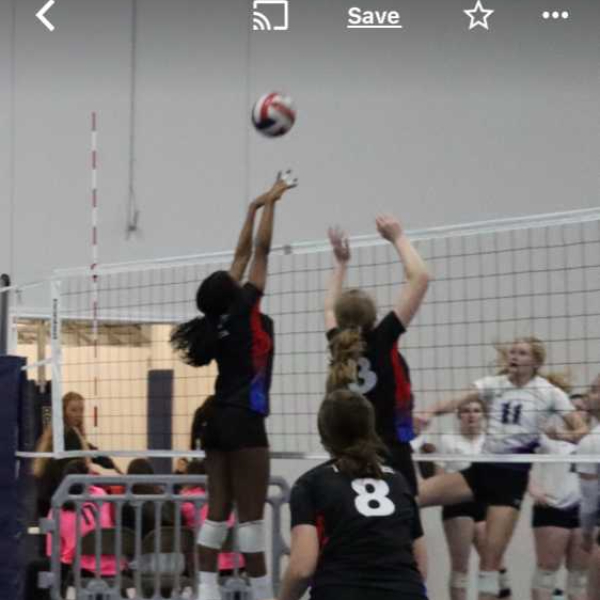 Madison Terry-Pirtie's Volleyball Recruiting Profile