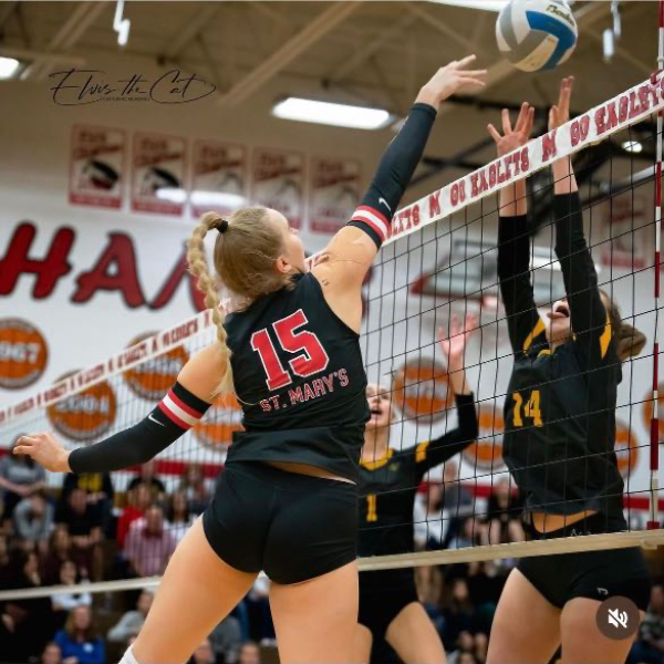 L2 Volleyball Club | SportsRecruits