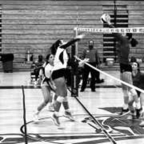 Summer Whitlow's Volleyball Recruiting Profile