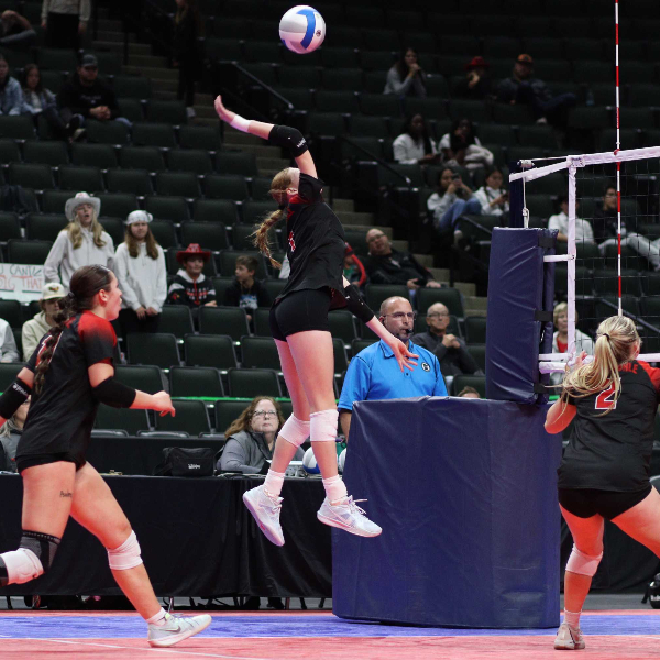 Jaiden Lee's Volleyball Recruiting Profile