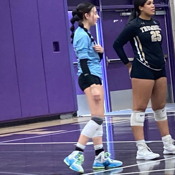Alexandra Link's Volleyball Recruiting Profile