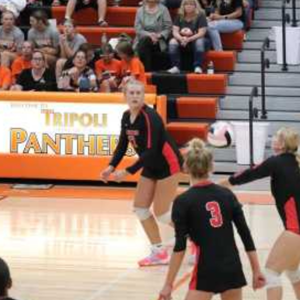 Taylor Kipp's Volleyball Recruiting Profile