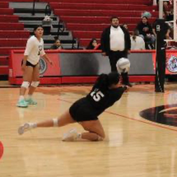 Aubree everett's Volleyball Recruiting Profile