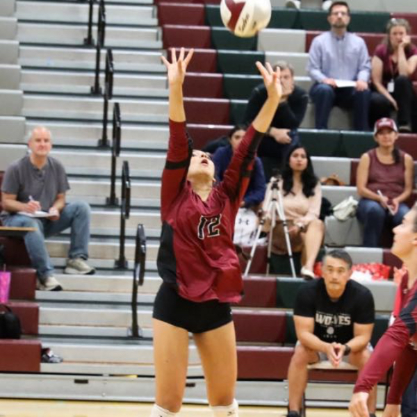 Alina Tewari's Volleyball Recruiting Profile
