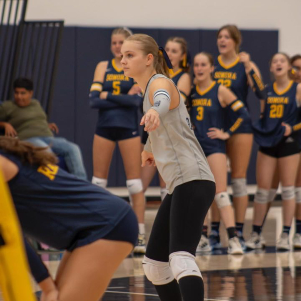 Sarah Gehrig's Volleyball Recruiting Profile