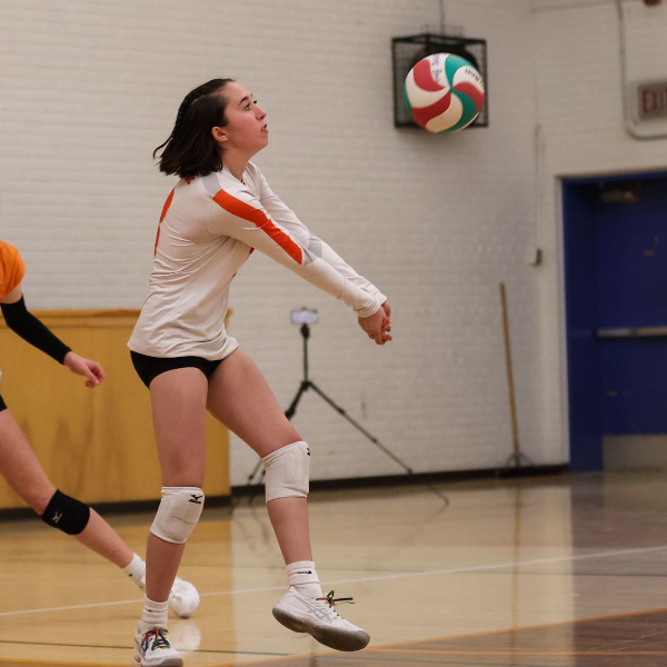 Reece Webster's Volleyball Recruiting Profile