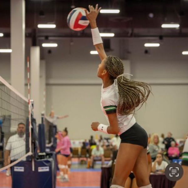 Layla Wilson's Volleyball Recruiting Profile